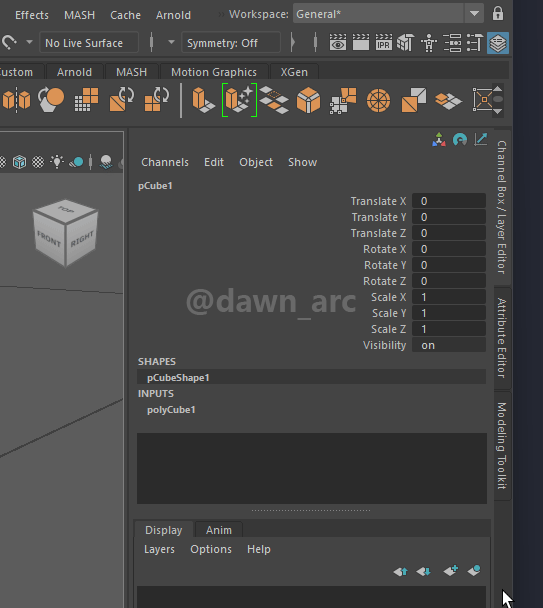 [Maya]Display-Viewport